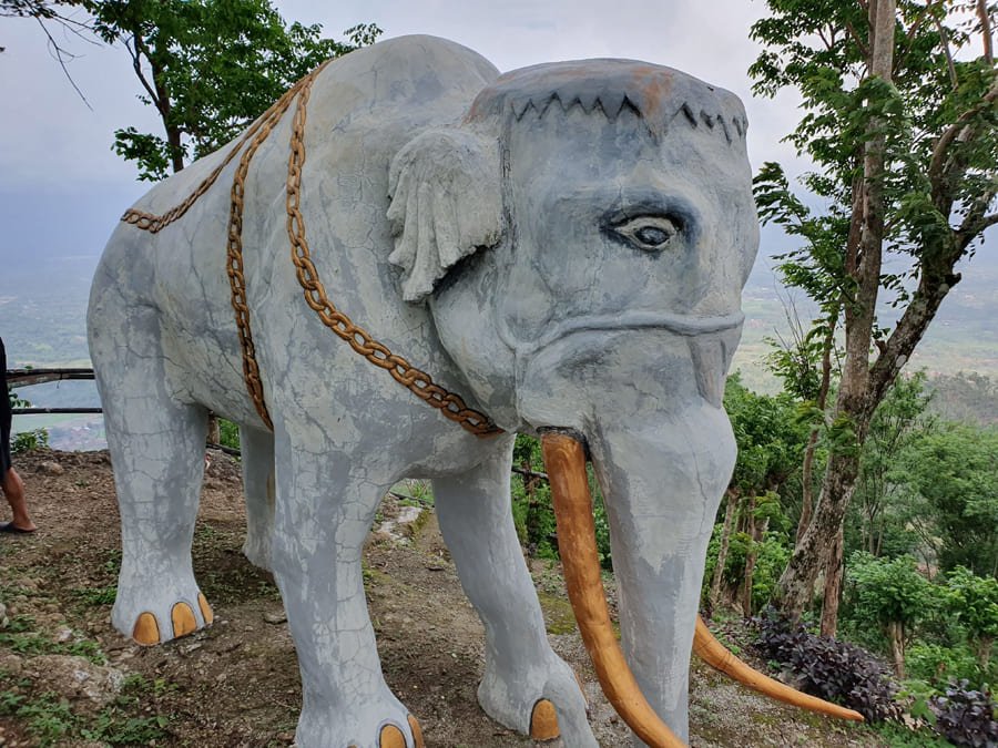 Puncak Gajah Mungkur View